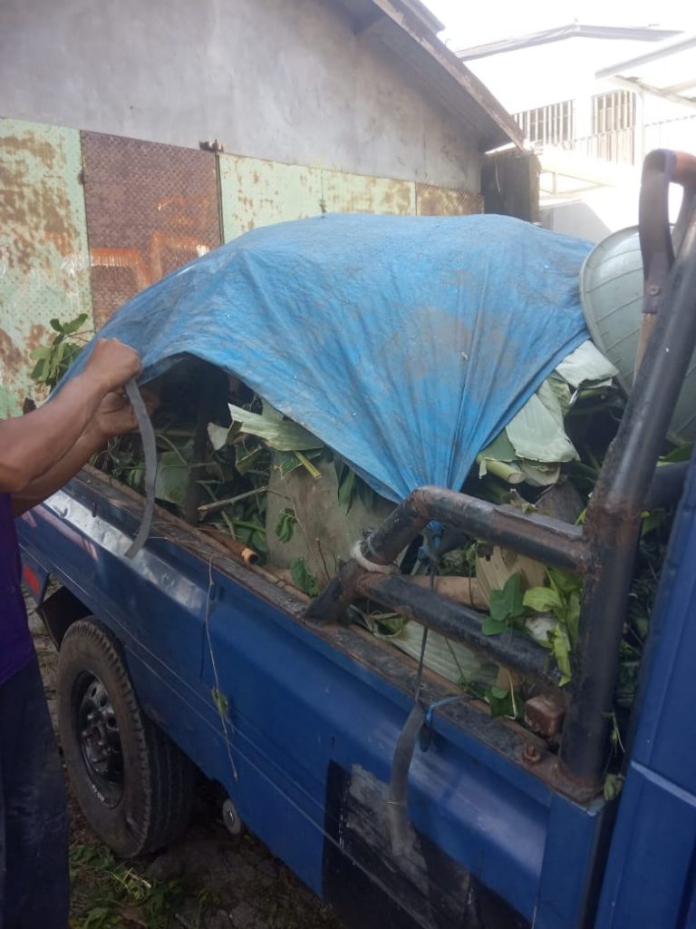 Jasa Tebang Pohong Termurah Jakarta Spesialis Ahli Tebang Pohon Terbaik